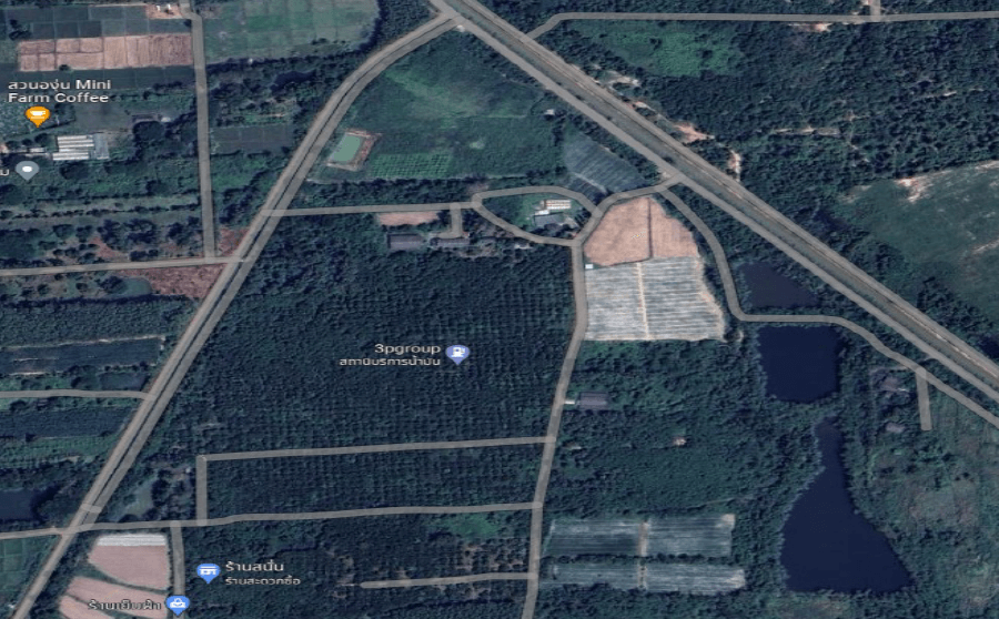 Organic Farm - Lampang Food